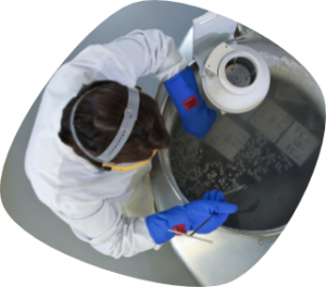 BioRep – Centro di Risorse Biologiche