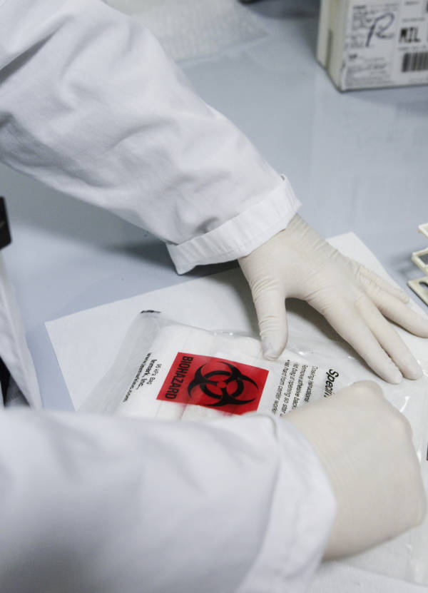 Logistics – BioRep